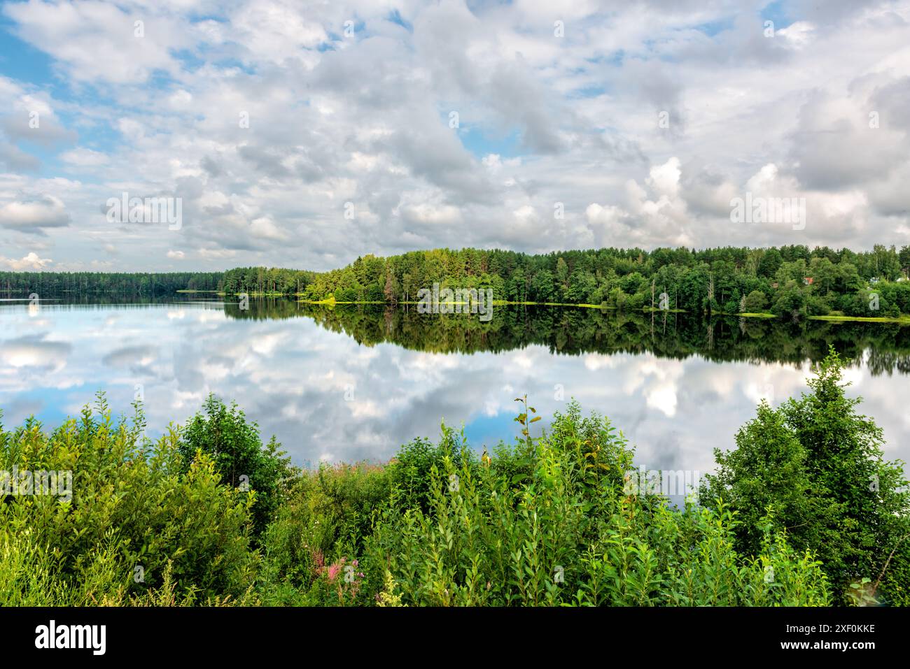 Lake in calm weather with shores covered with dense forest Stock Photo ...