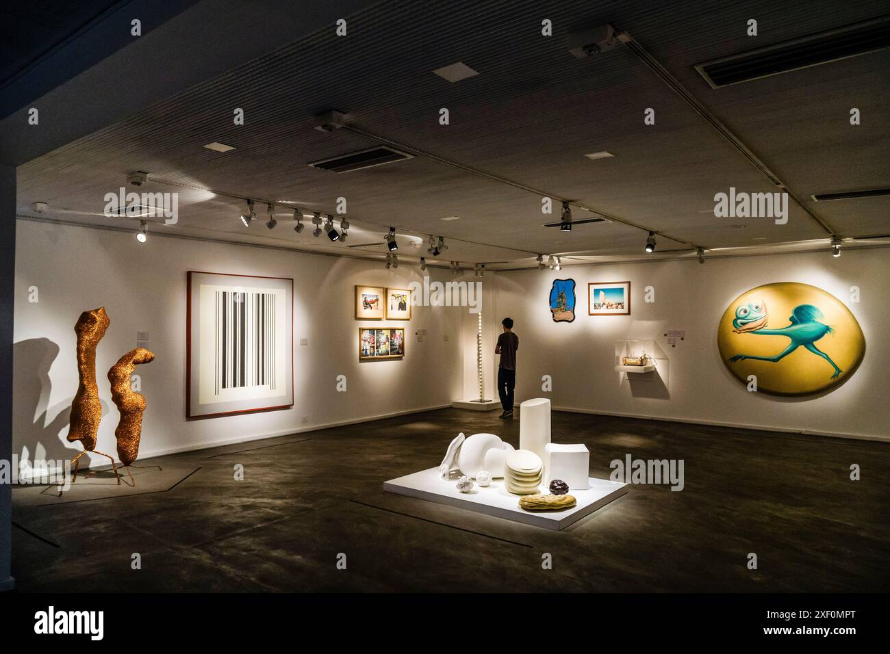 Museo Nacional de Bellas Artes (MNBA) ,Buenos Aires, republica ...