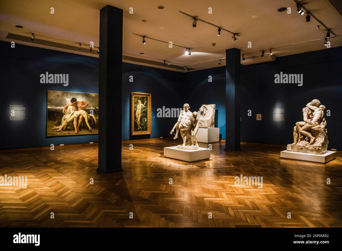 National Museum of Fine Arts (MNBA) , Buenos Aires, republica Argentina ...