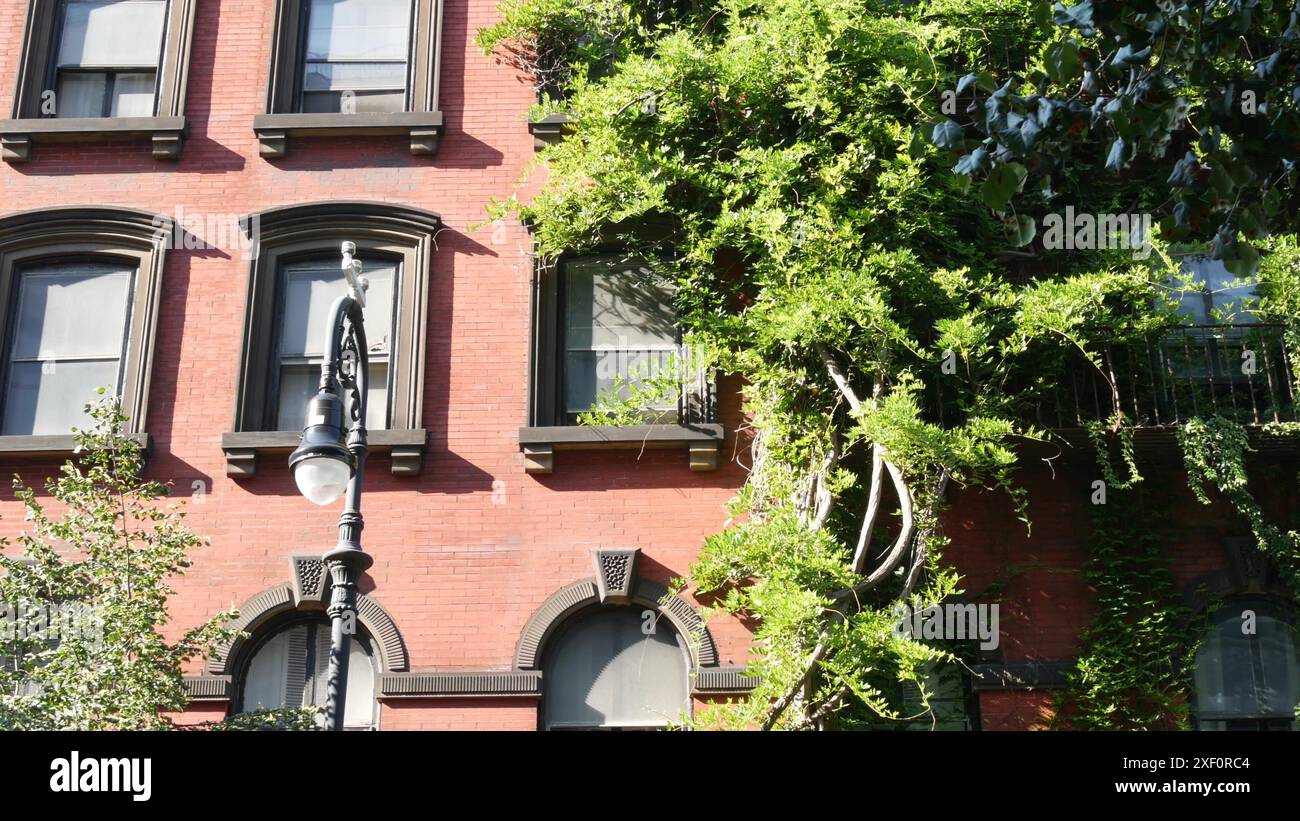 New York City classic building architecture. Urban residential house ...