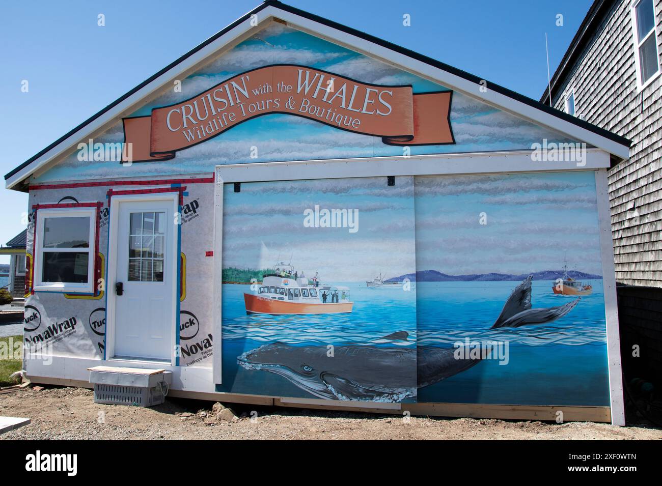 Cruisin' with the whales wildlife tours mural in downtown St. Andrews ...