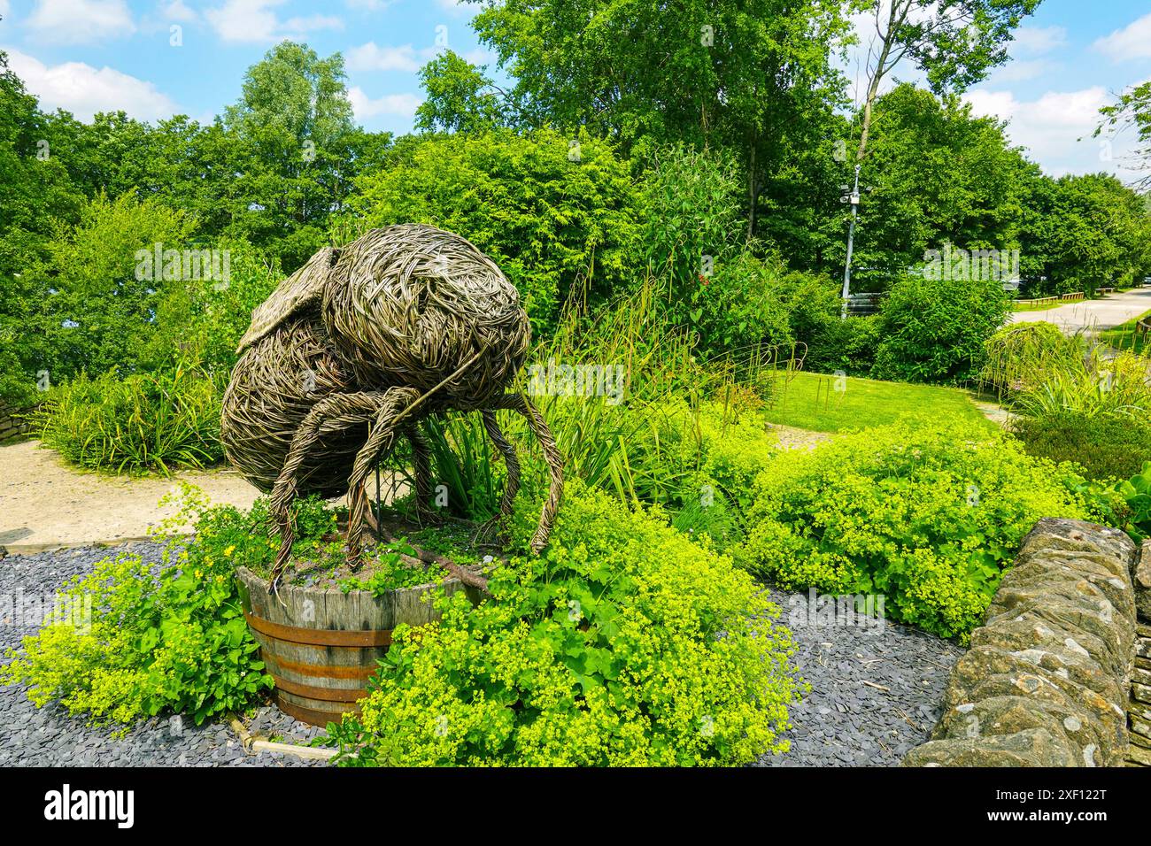 Large wicker bee at Tittesworth Reservoir, Staffordshire moors in the ...