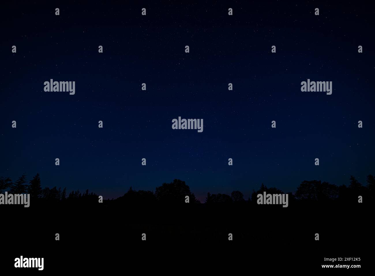 Silhouette trees in forest night field hi-res stock photography and ...