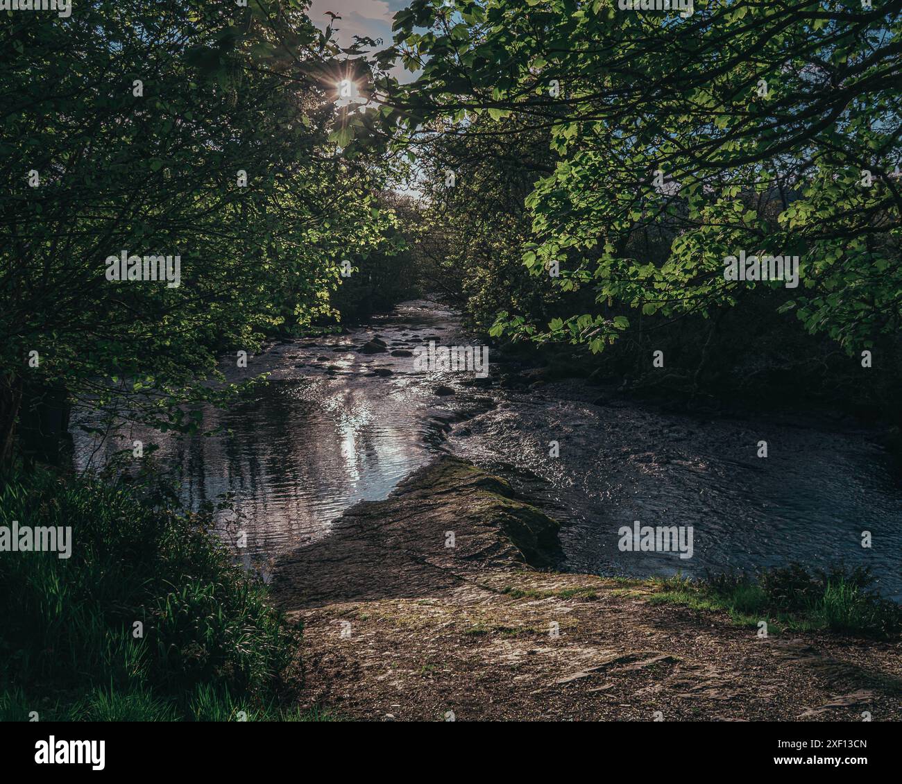 Snowdonia National Park Wildlife Walks Stock Photo - Alamy