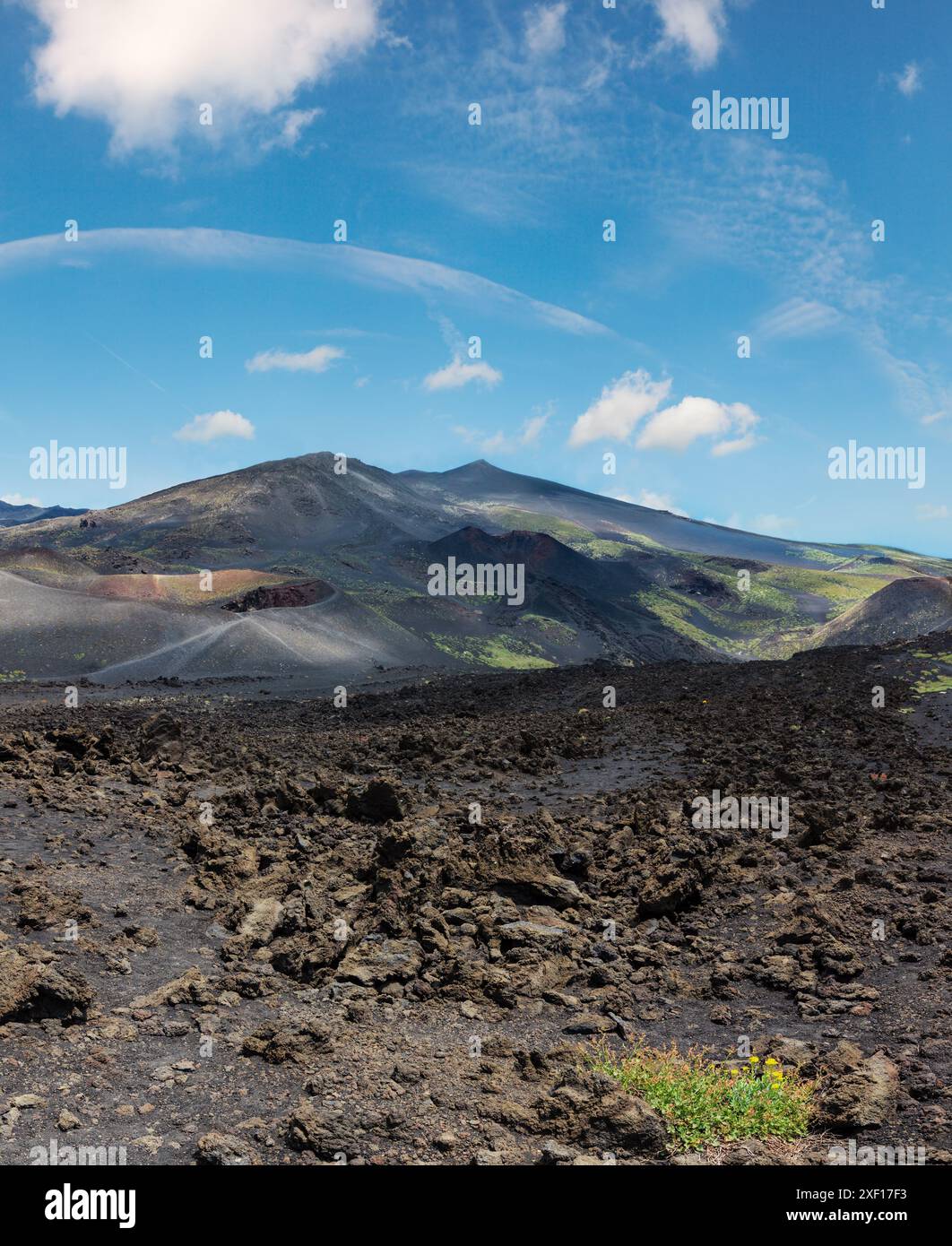 Flowers on stony magma fields between summer Etna volcano mountain ...