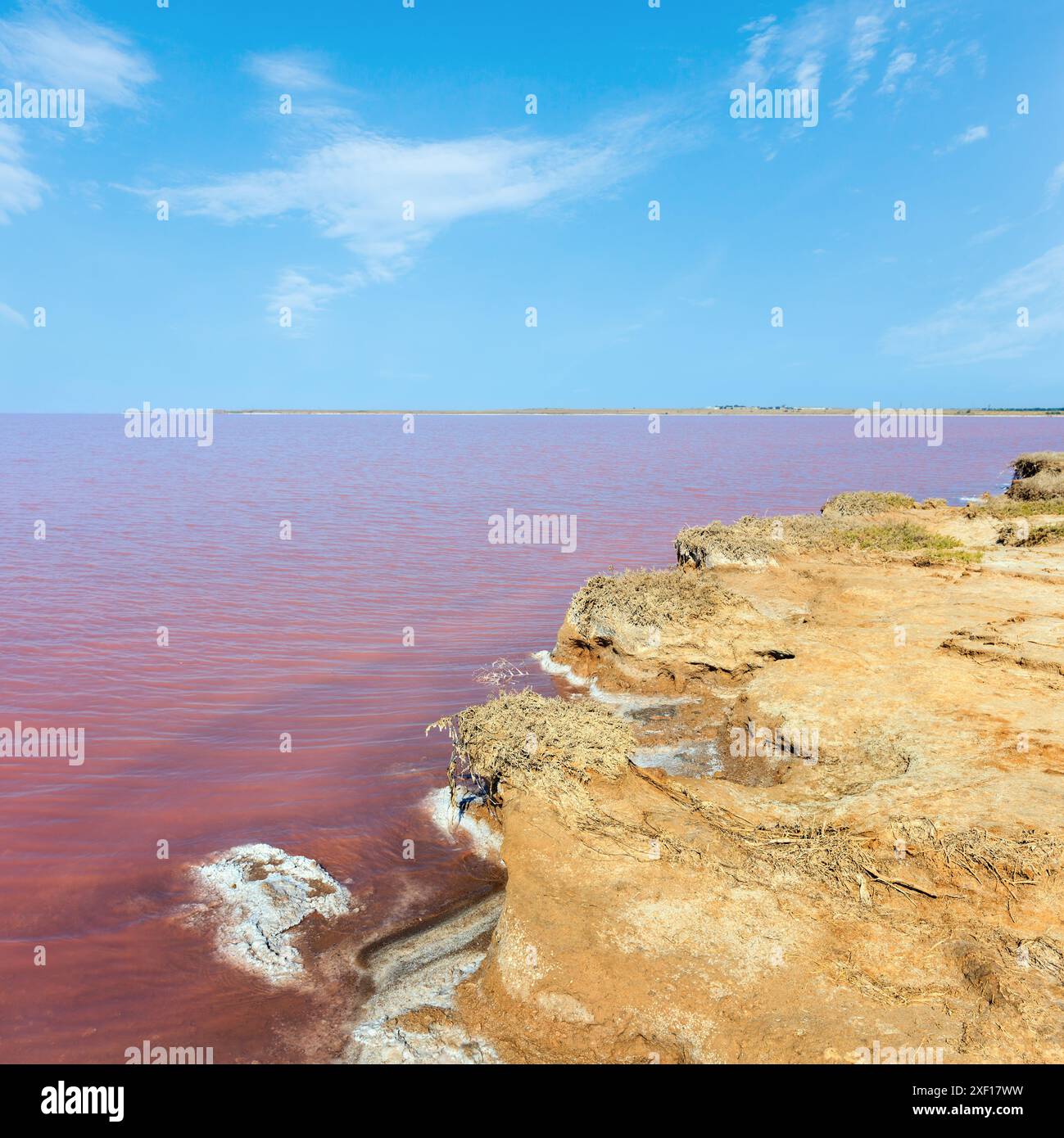 Pink extremely salty Syvash Lake, colored by microalgae. Also known as ...