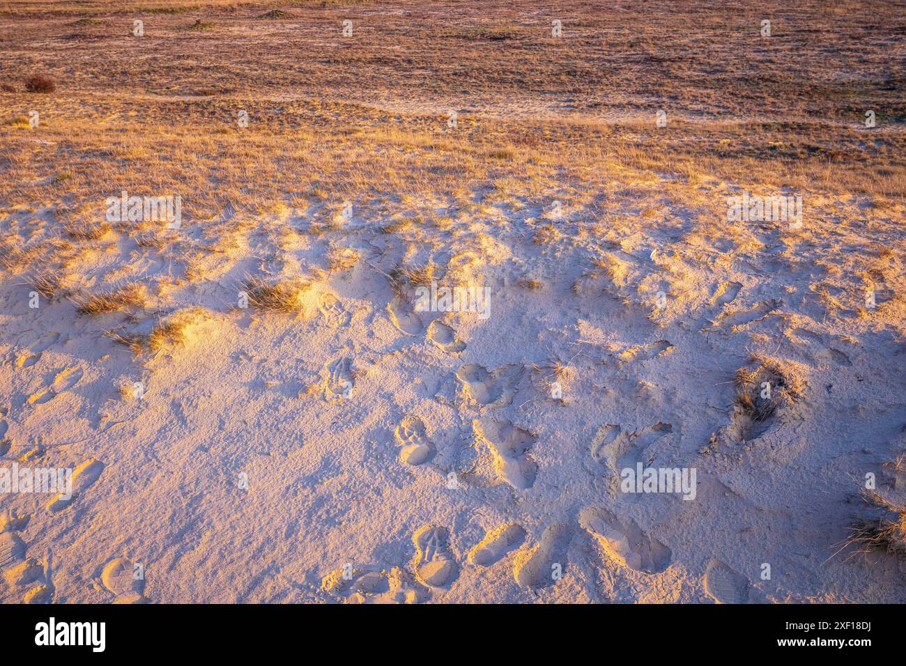 Heather sand hi-res stock photography and images - Alamy