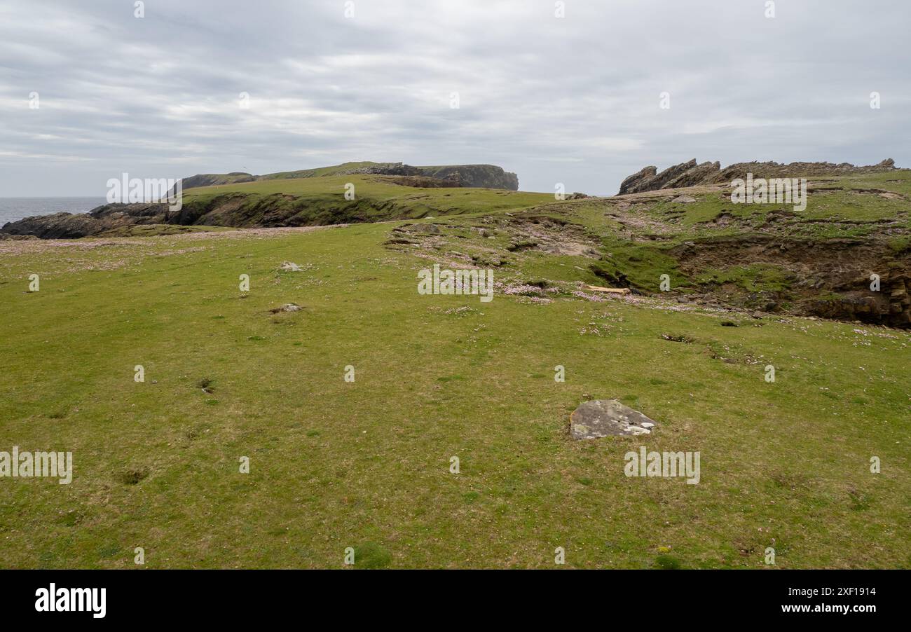 Ness of Burgi, Shetland, UK Stock Photo - Alamy