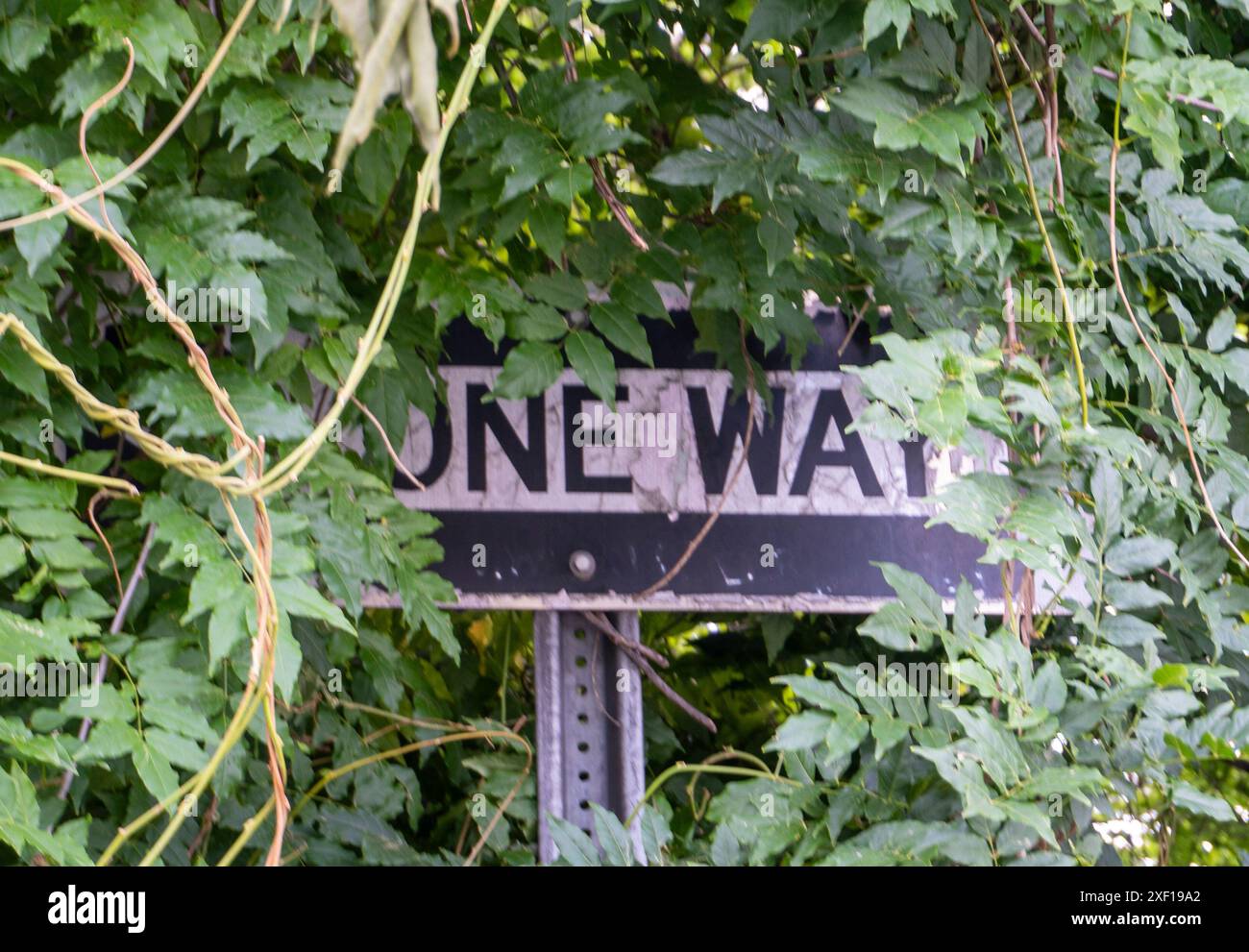 Obscured sign hi-res stock photography and images - Alamy