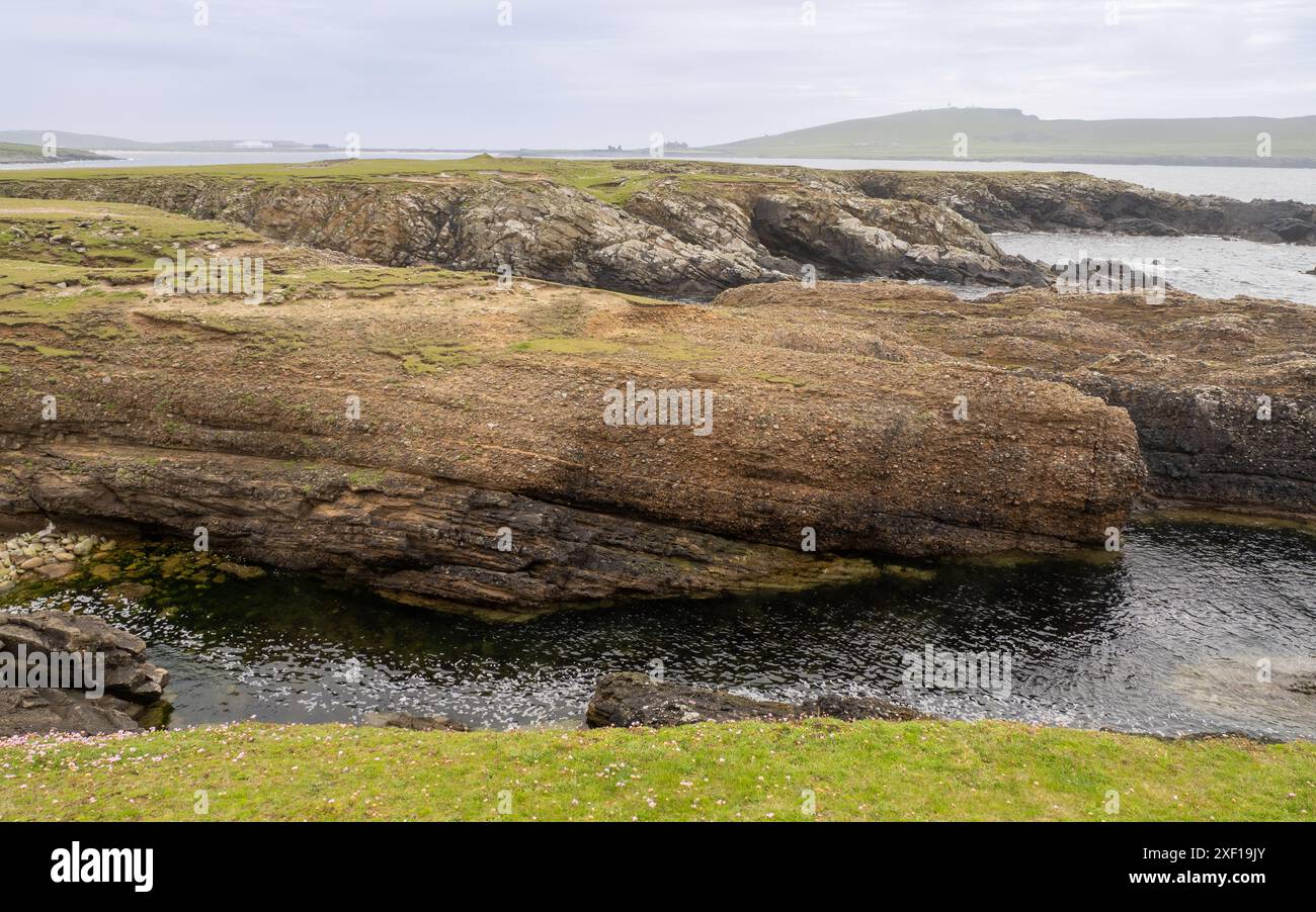 Ness of Burgi, Shetland, UK Stock Photo - Alamy