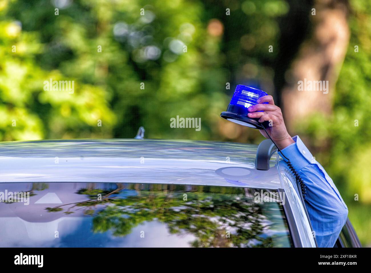 blue flashing light on a police car during a blue light drive Stock ...