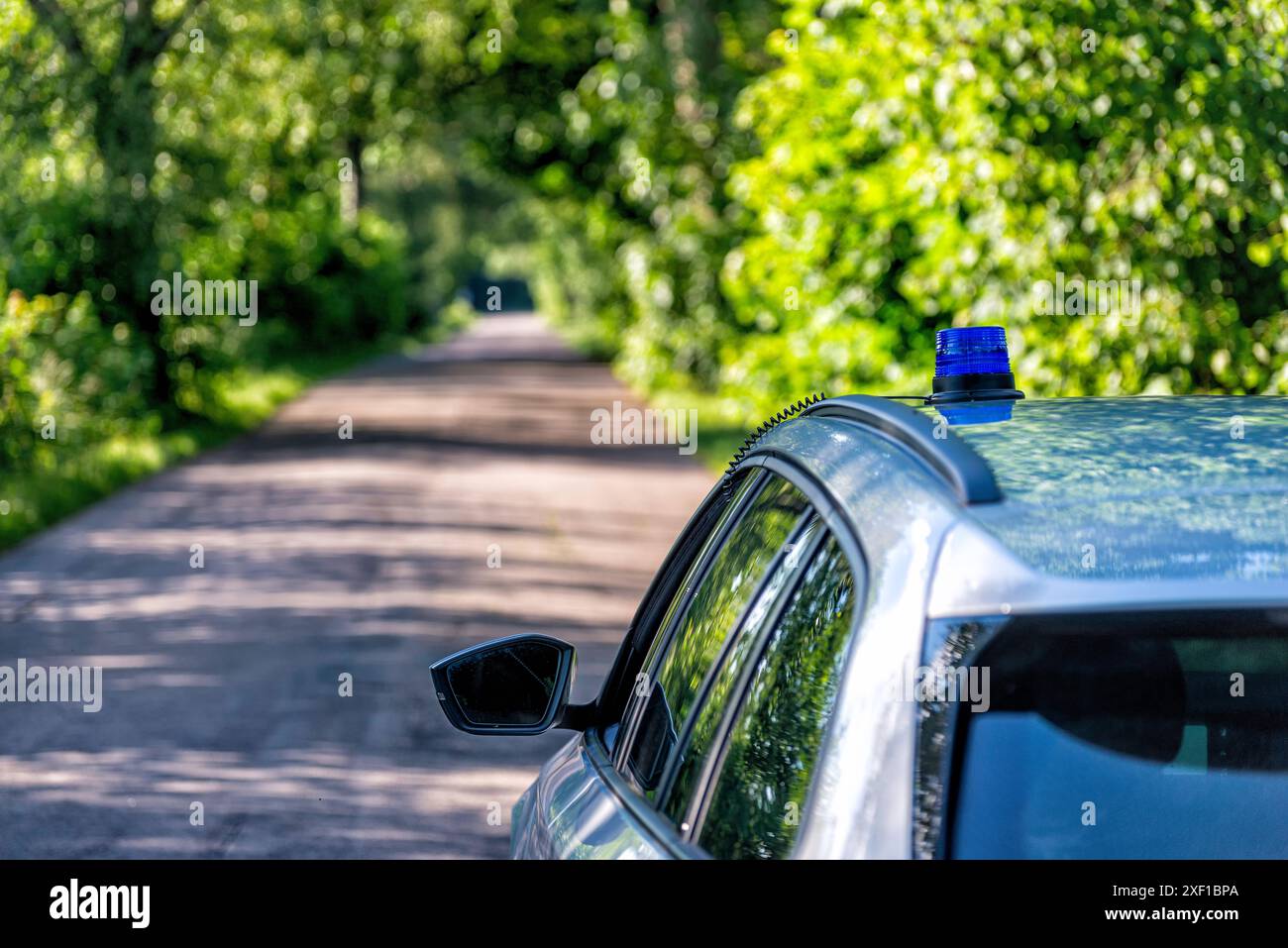 blue flashing light on a police car during a blue light drive Stock ...