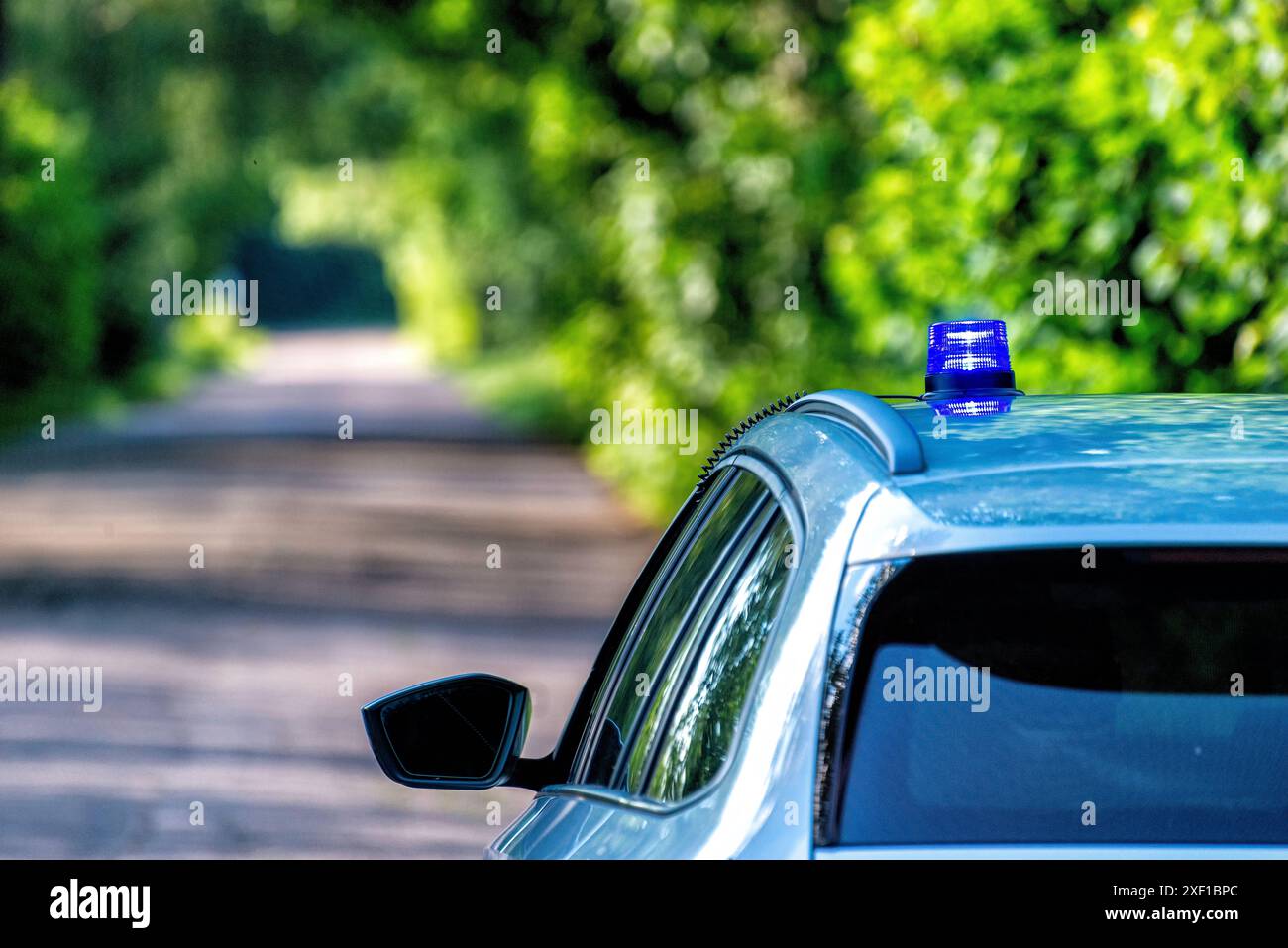 blue flashing light on a police car during a blue light drive Stock ...