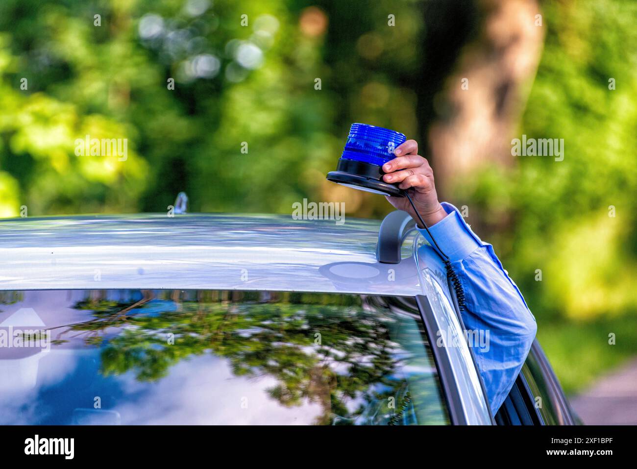 blue flashing light on a police car during a blue light drive Stock ...