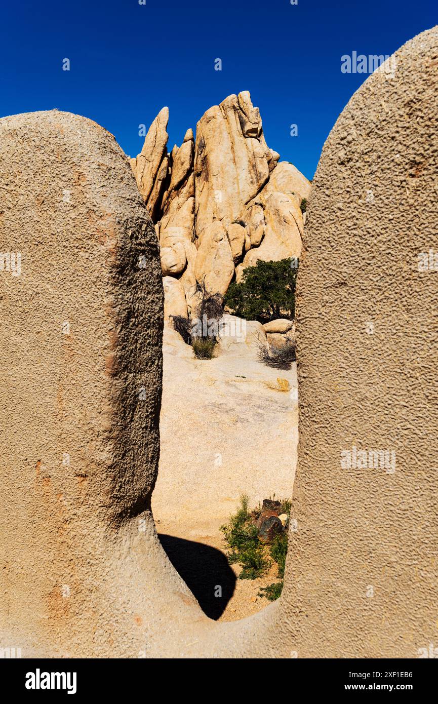 Historic remains of Ryan Ranch; Joshua Tree National Park; California ...