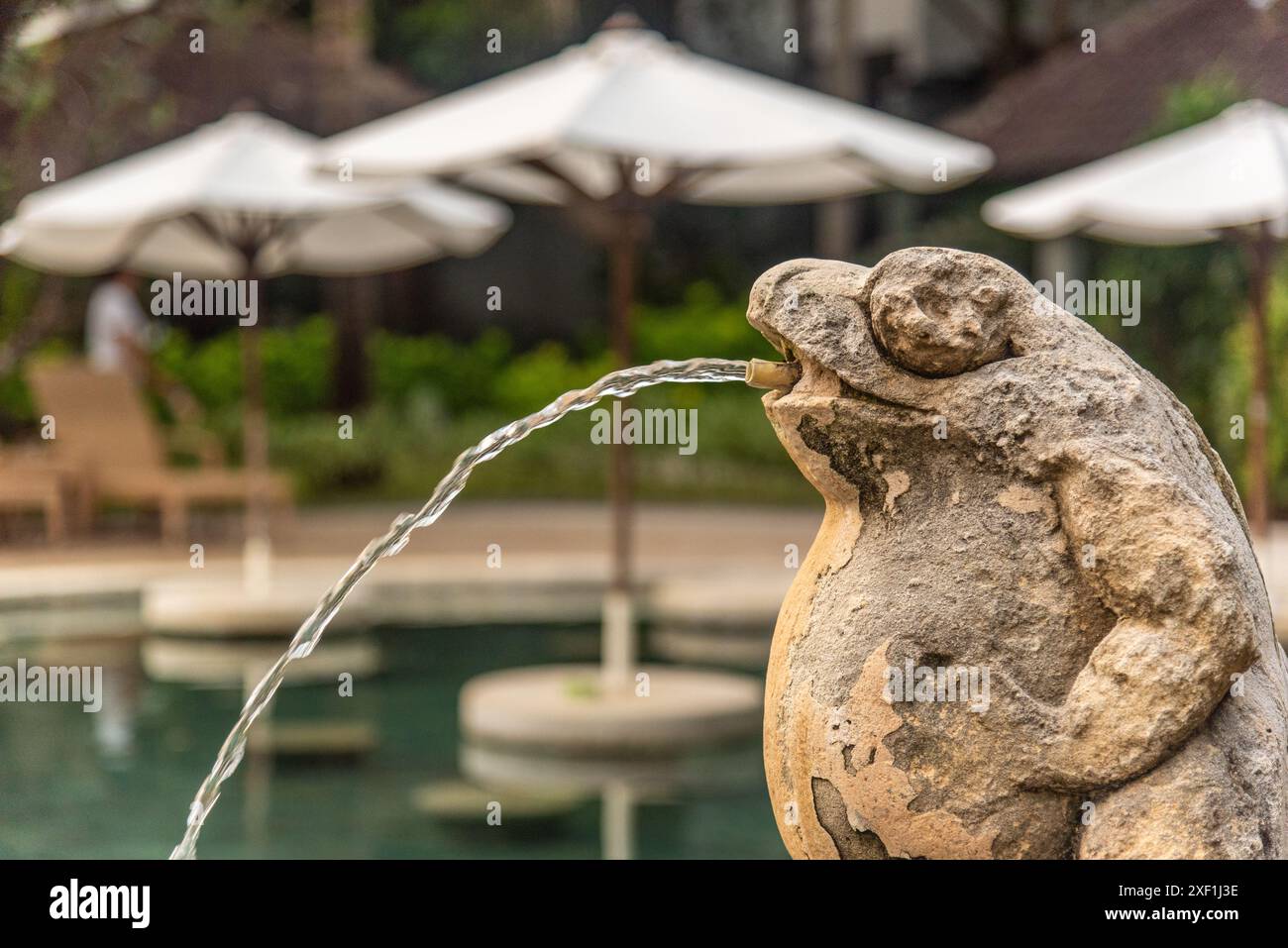 Frog statue with water fountain spurting out its mouth with tropical ...
