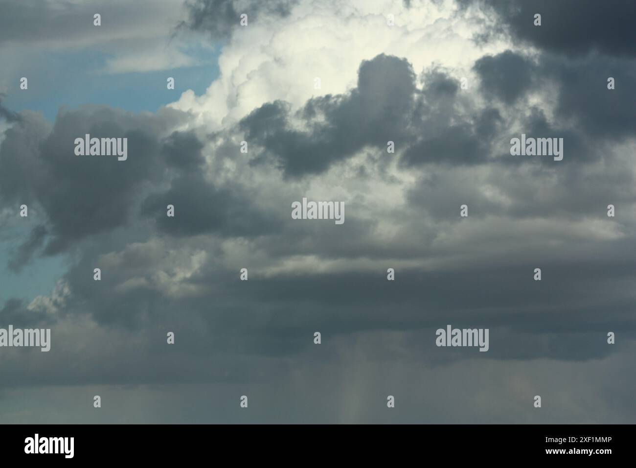 Single, compact cumulonimbus calvus cloud producing torrential rain ...
