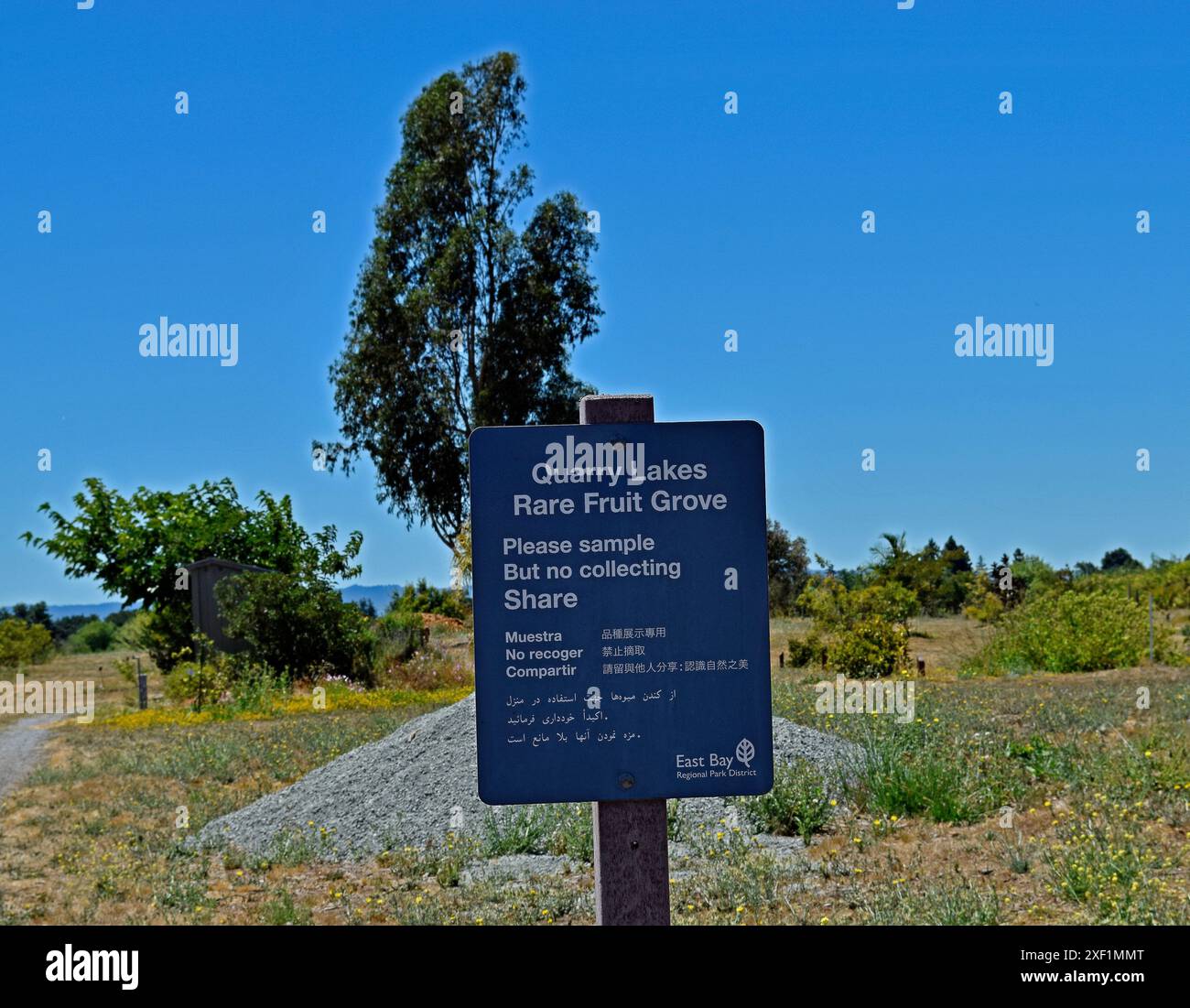 rare fruit grove sign at Quarry Lakes Regional Recreation Area and East ...