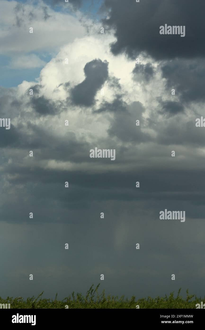 Single, compact cumulonimbus calvus cloud producing torrential rain ...