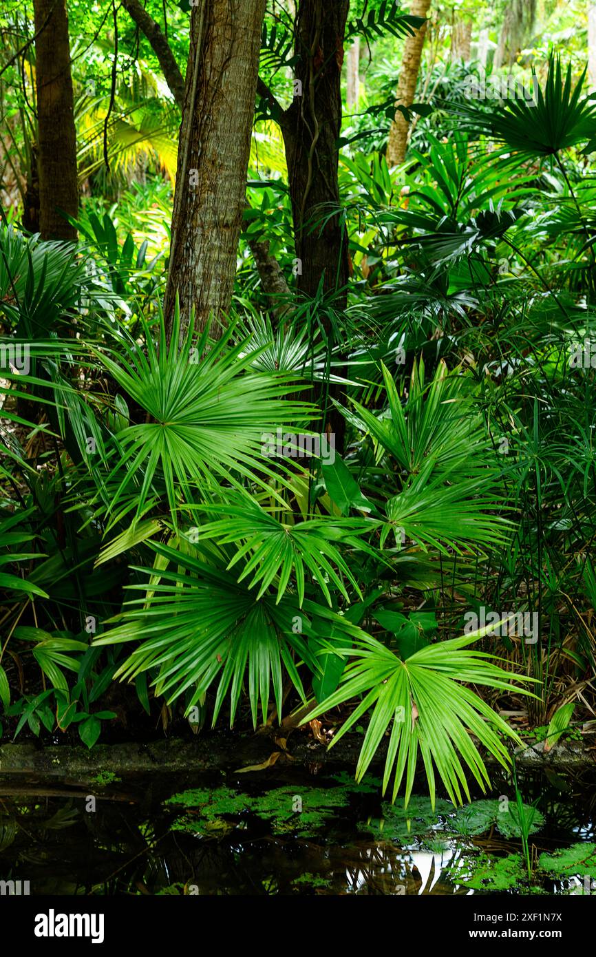 Reflecting its position hi-res stock photography and images - Alamy