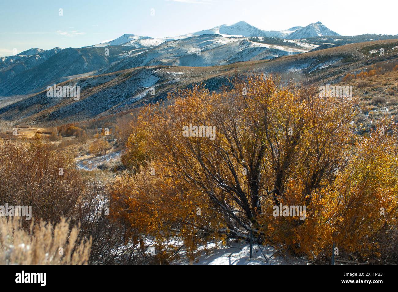 Desert Solitude along US Highway 395 in the Sierra Nevada Mountain ...
