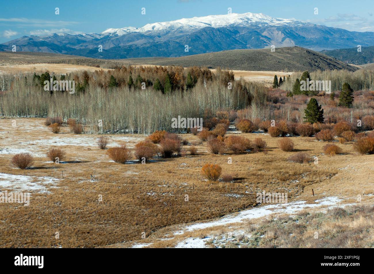 Desert Solitude along US Highway 395 in the Sierra Nevada Mountain ...