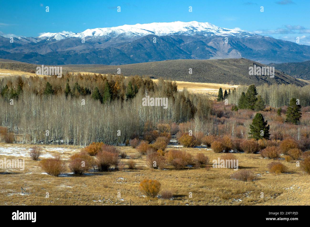 Desert Solitude along US Highway 395 in the Sierra Nevada Mountain ...