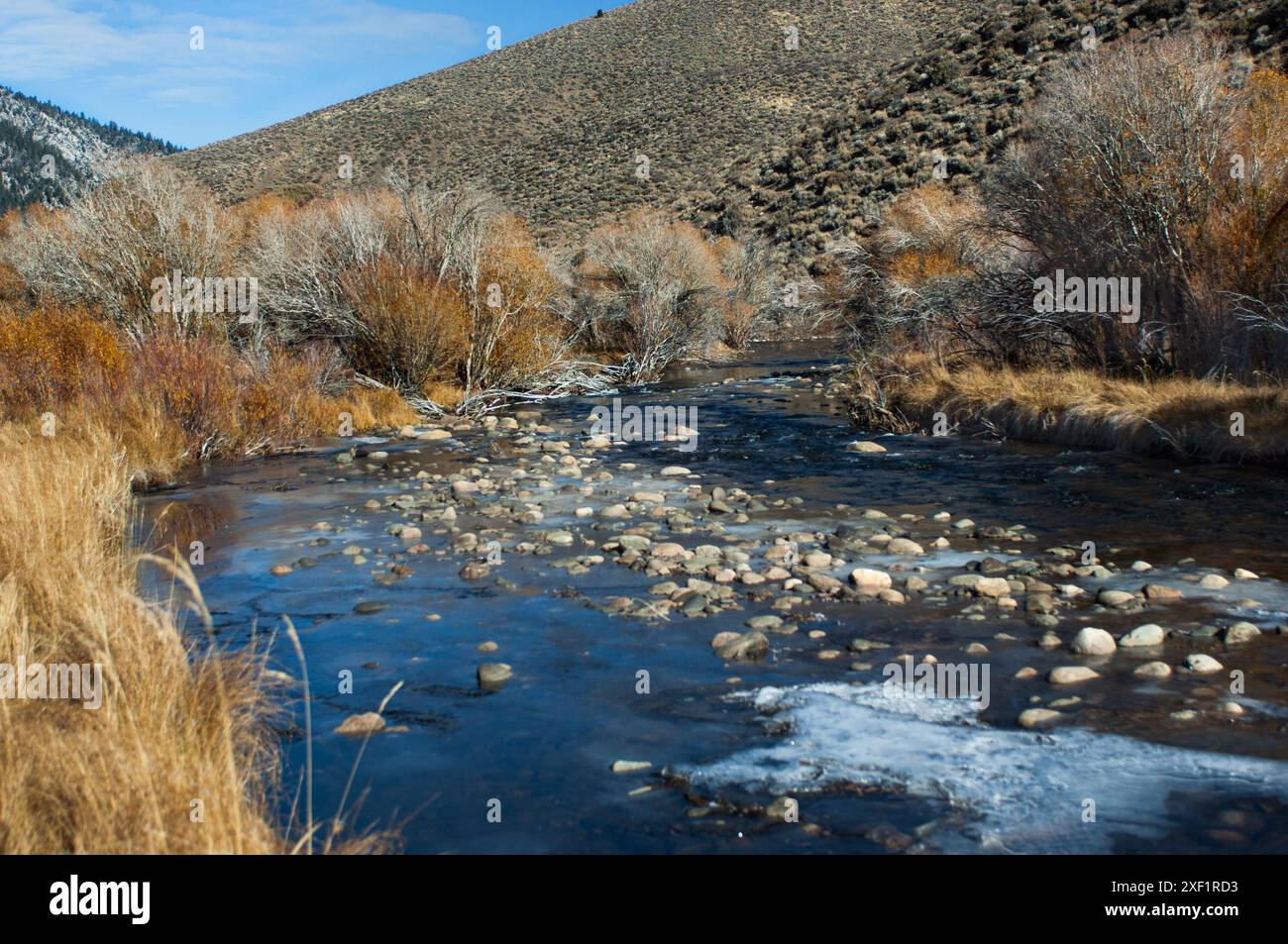 Walker River begins to freeze in the Sierra Nevada Mountains, CA Stock ...