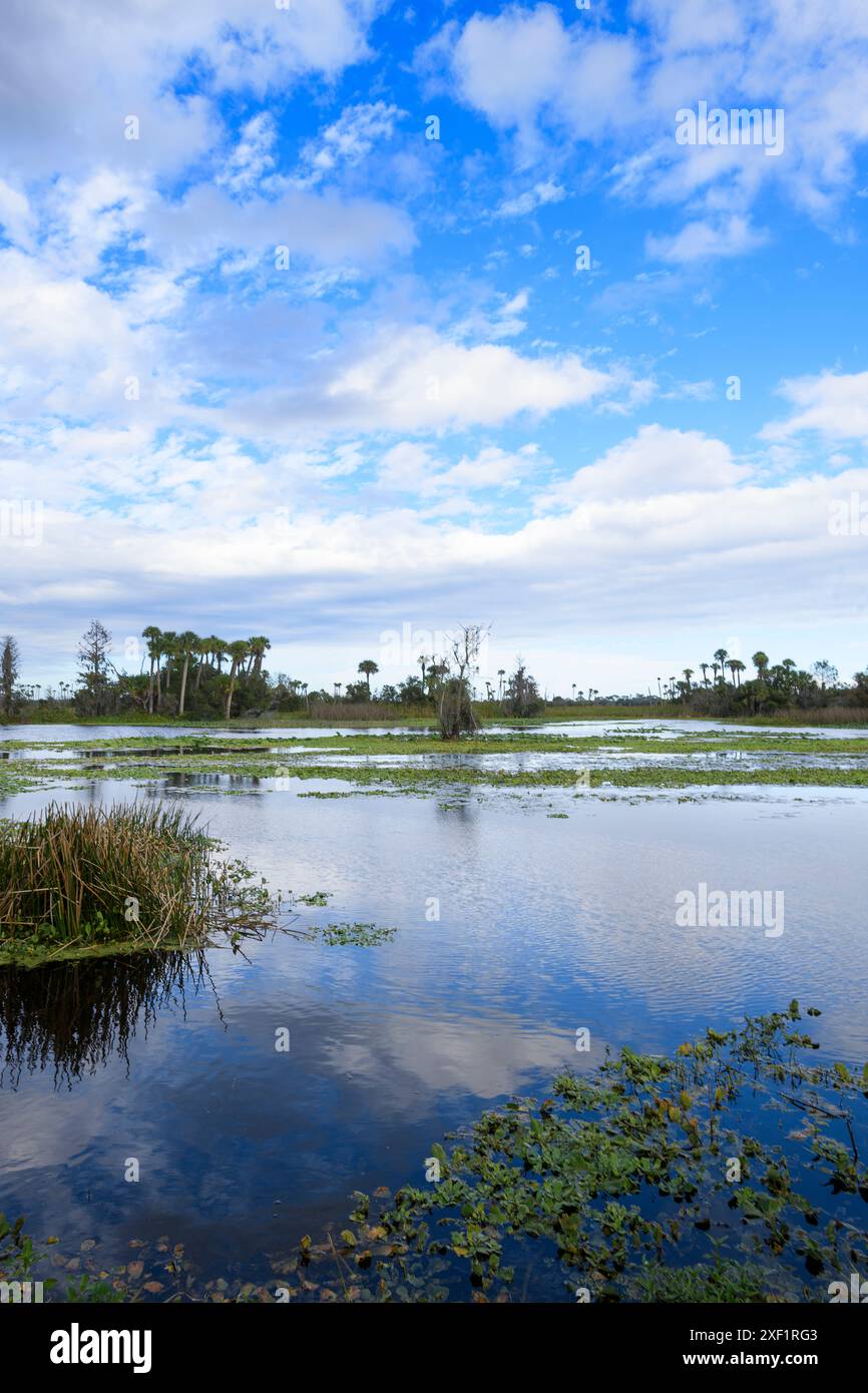 Reflective wetlands photography hi-res stock photography and images - Alamy