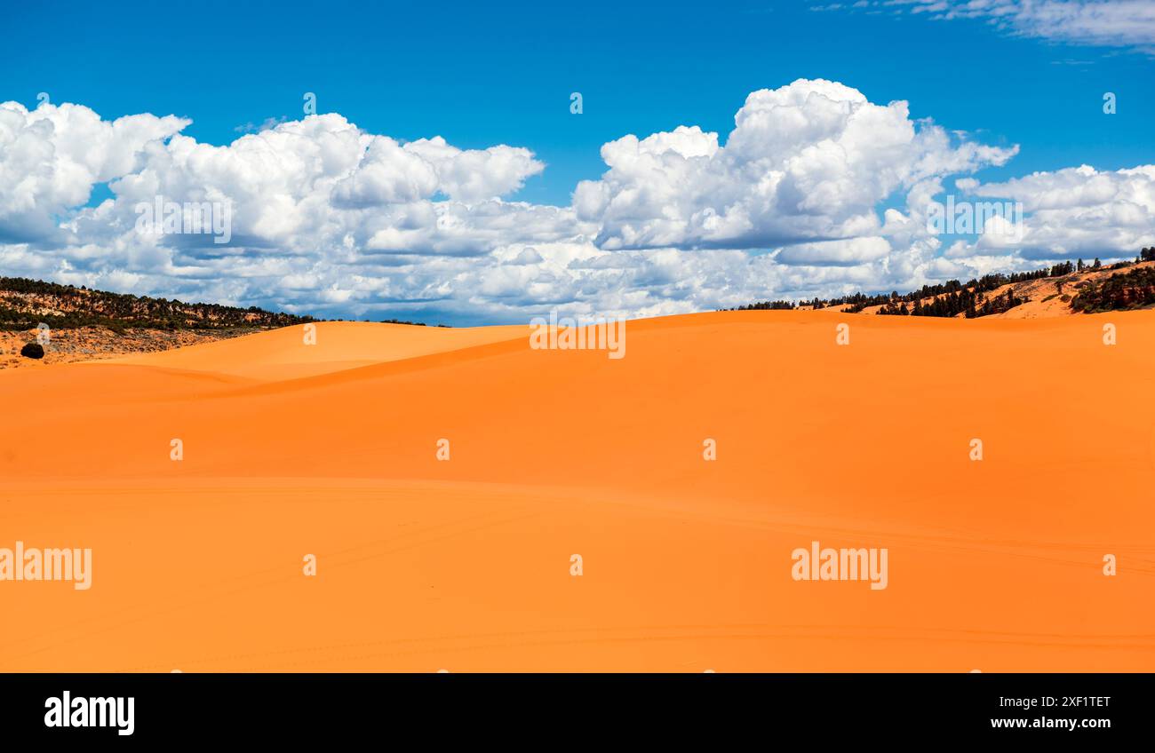 Golden sand dunes rise majestically against a backdrop of vivid blue ...