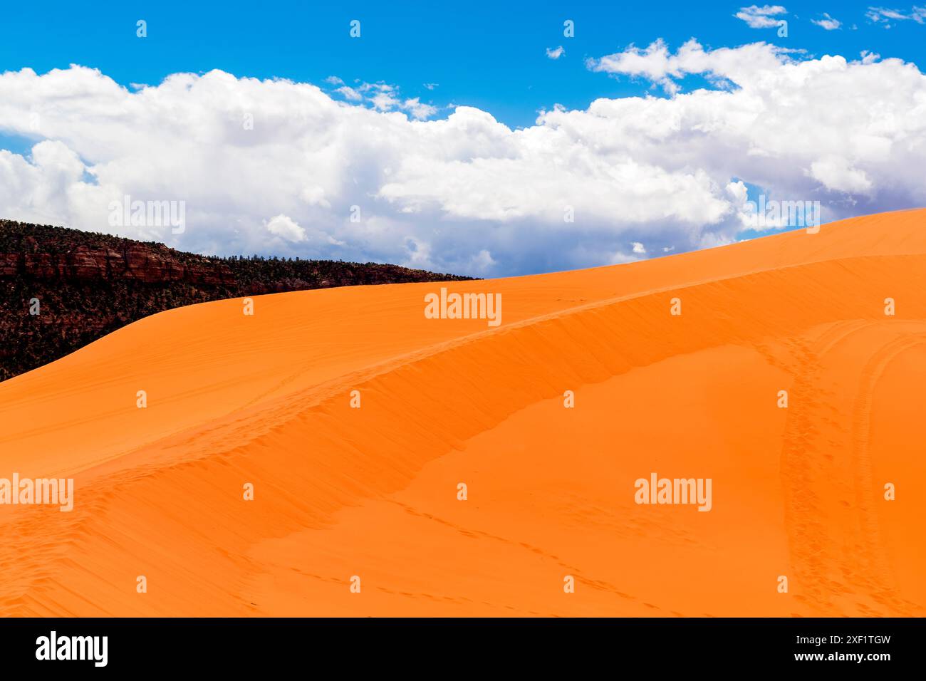 Golden sand dunes rise majestically against a backdrop of vivid blue ...
