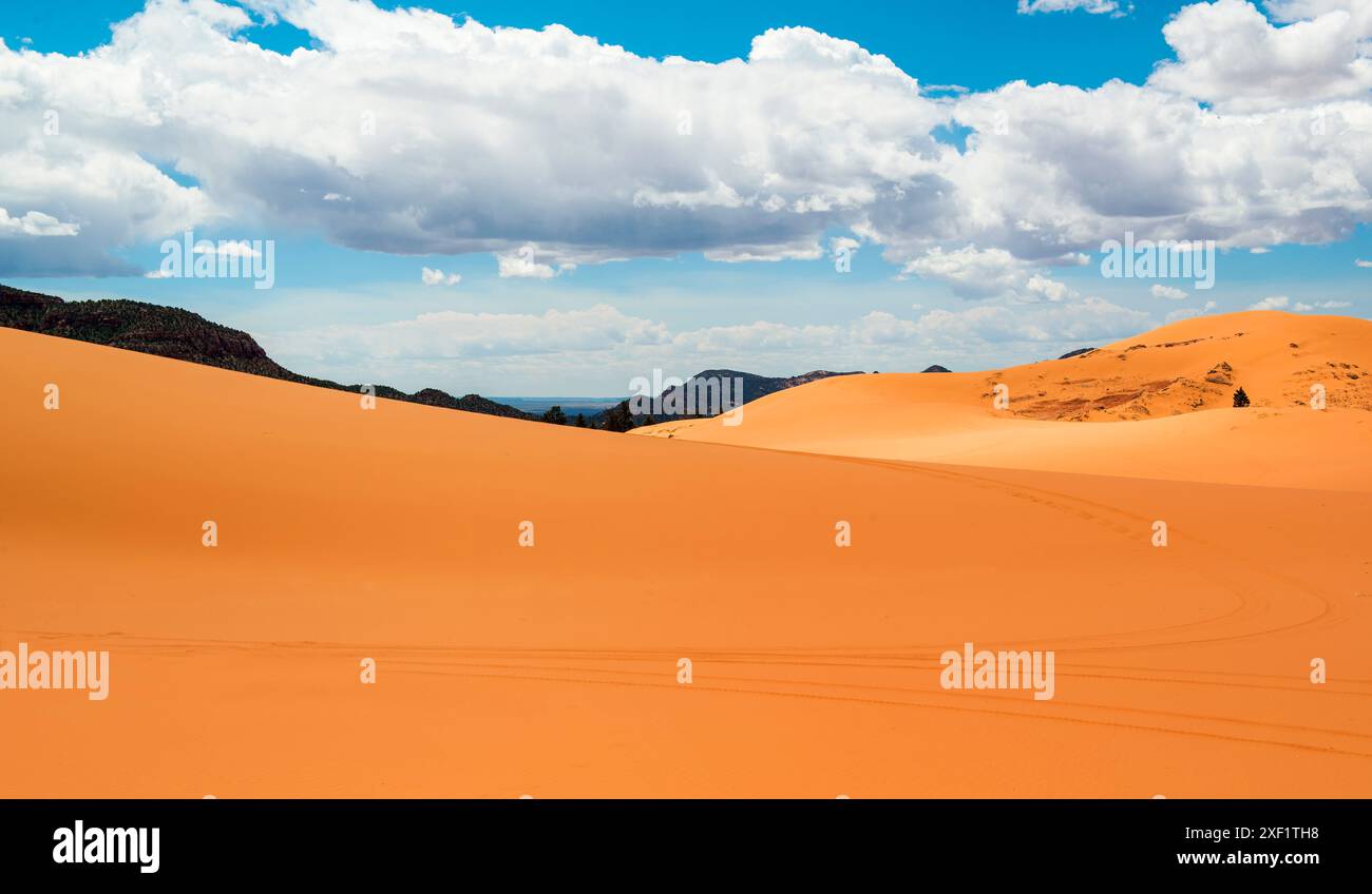 Golden sand dunes rise majestically against a backdrop of vivid blue ...