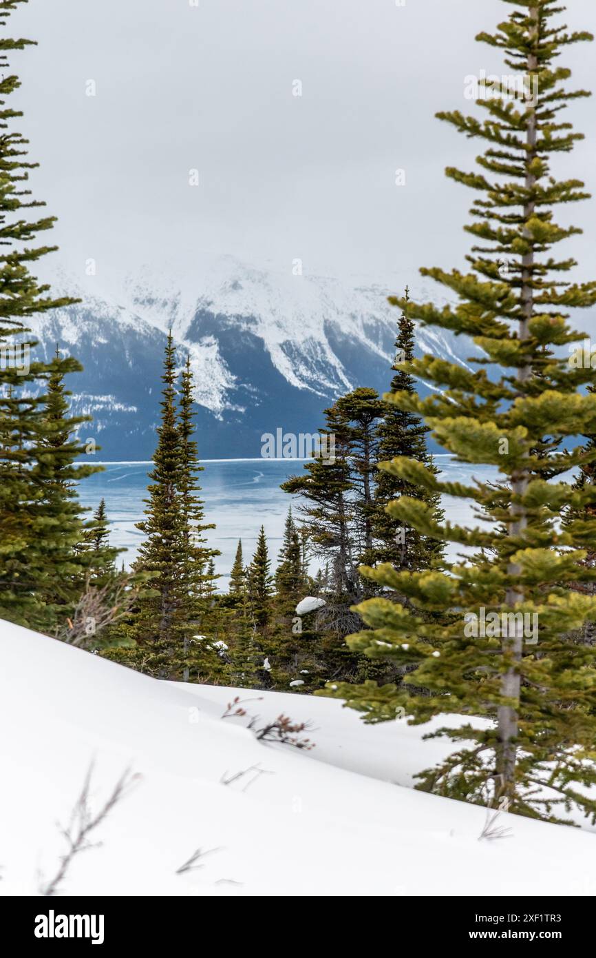 Stunning scenic view in northern Canadian landscape during winter time ...