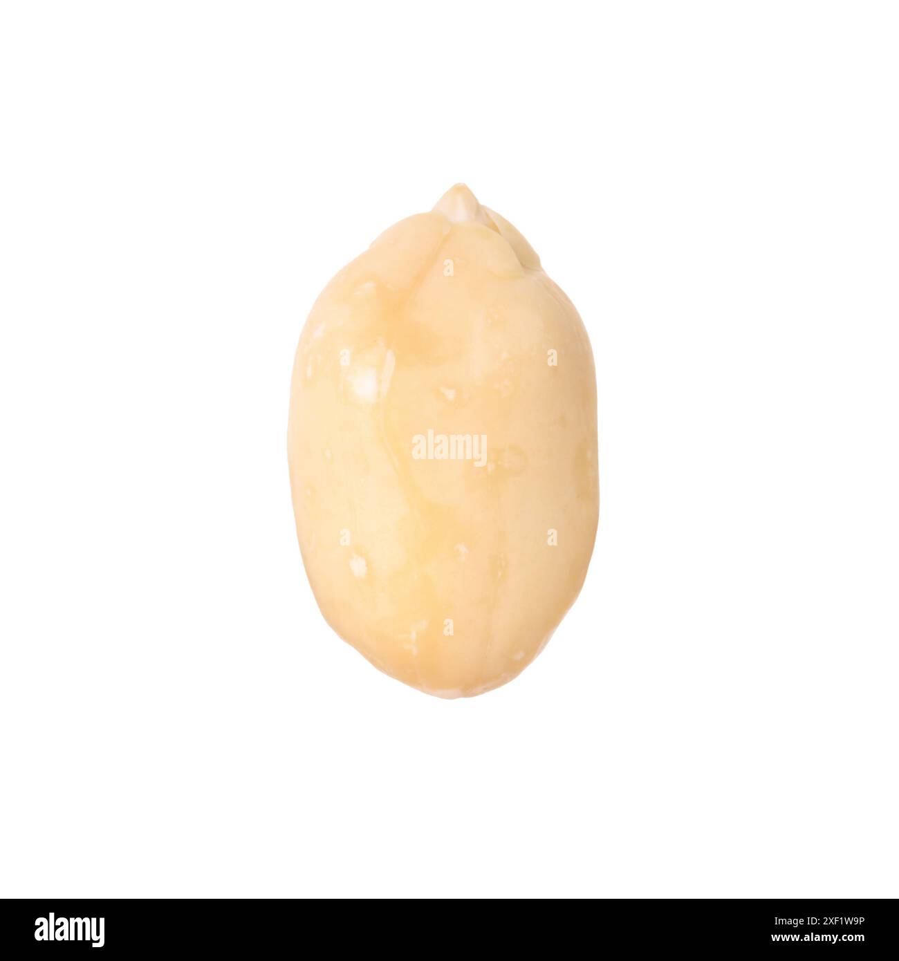 One fresh peeled peanut isolated on white Stock Photo - Alamy