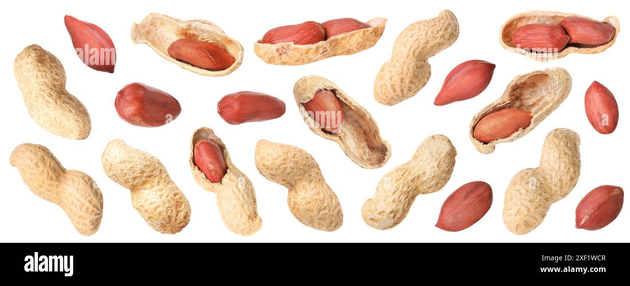 Many different peanuts isolated on white, set Stock Photo - Alamy