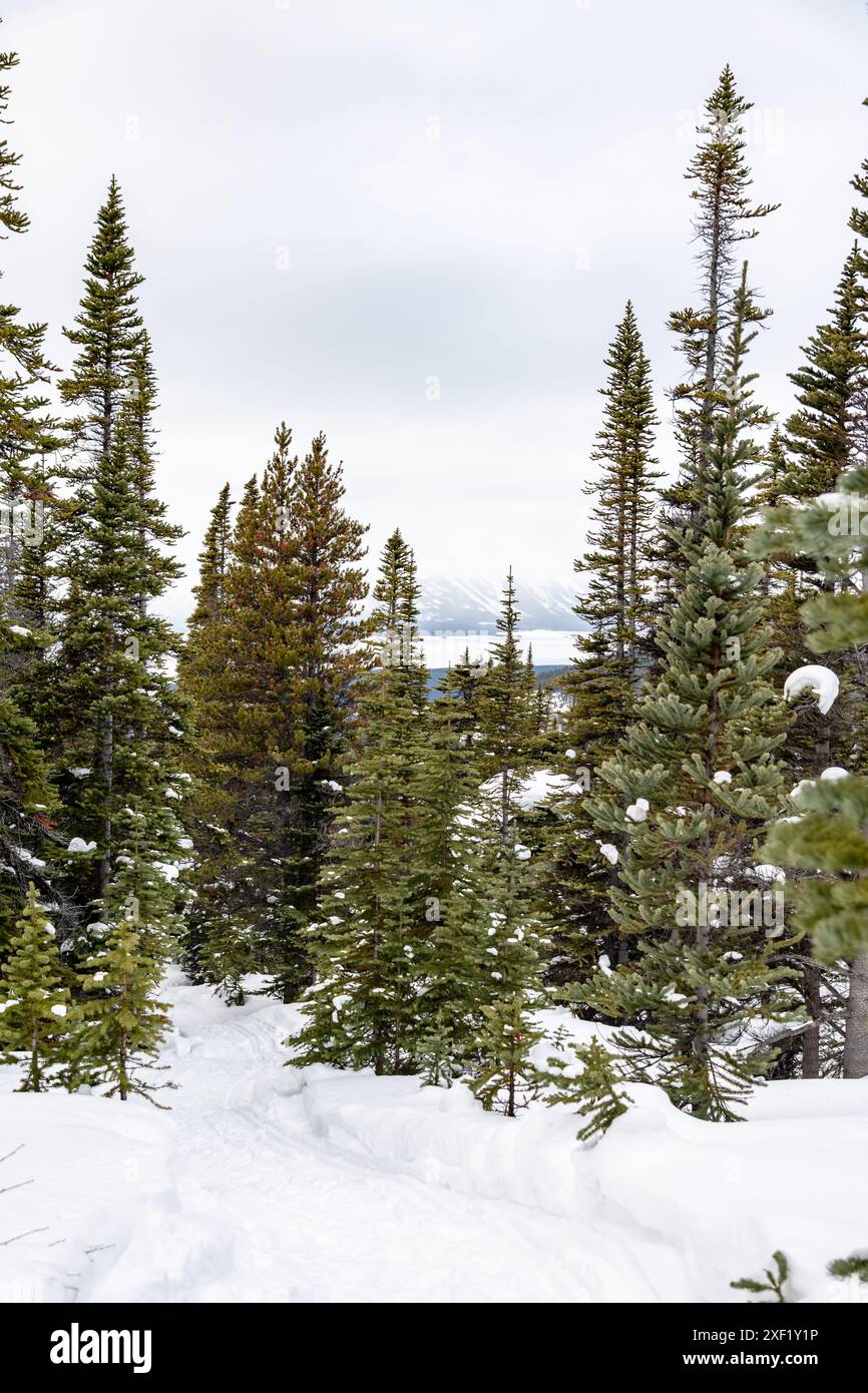 Stunning scenic view in northern Canadian landscape during winter time ...
