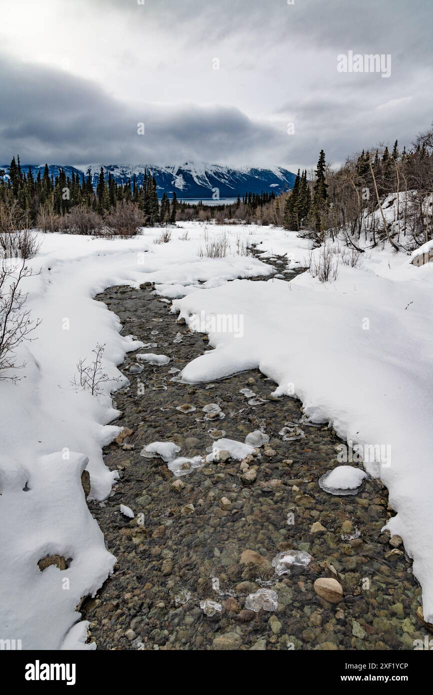 A winter wonderland seen in northern Canada, Yukon Territory during ...