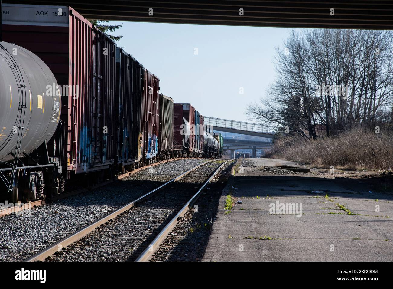 Graffiti tagged on rail cars on Station Street in downtown Saint John ...
