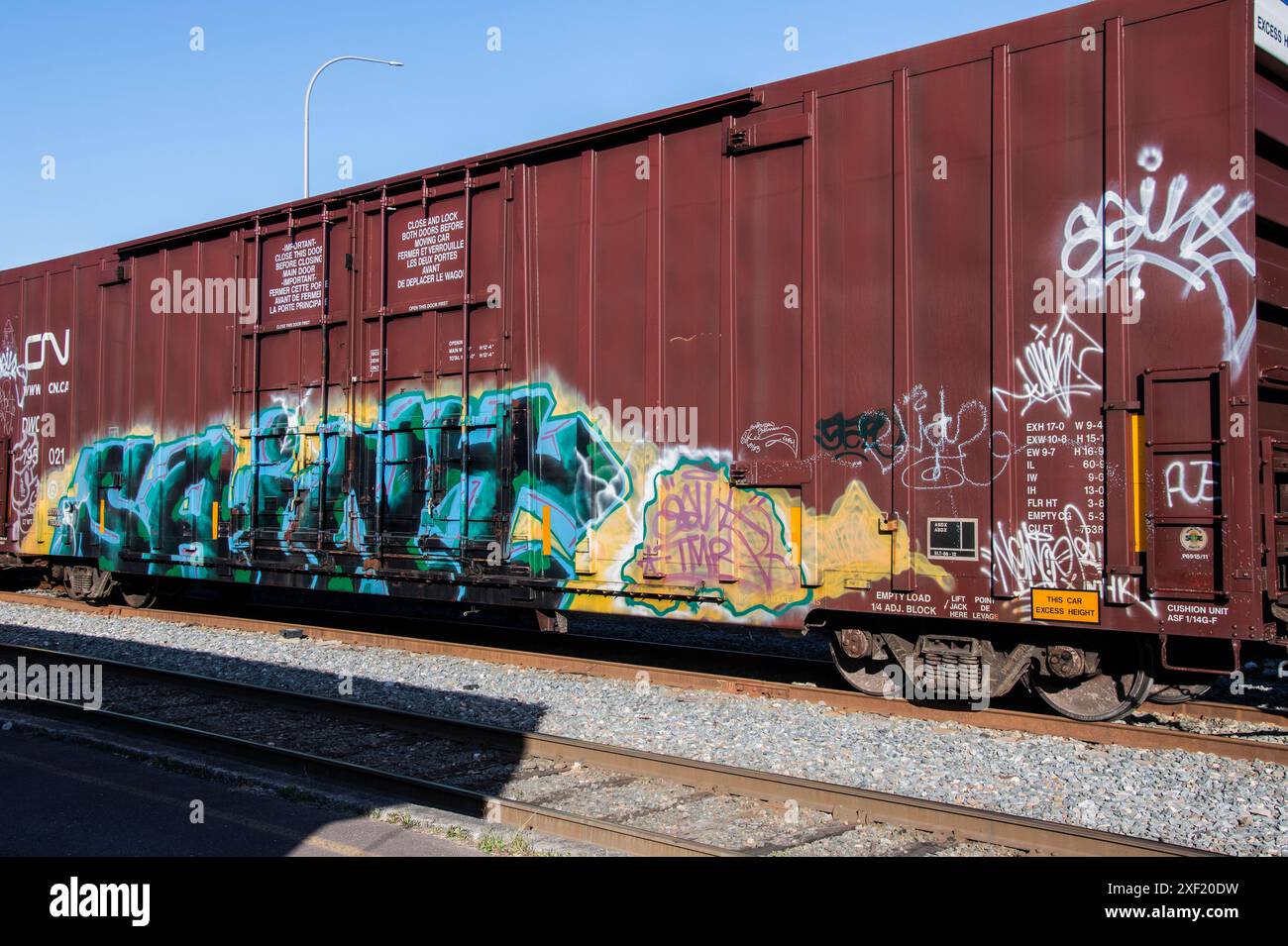 Graffiti tagged on rail cars on Station Street in downtown Saint John ...