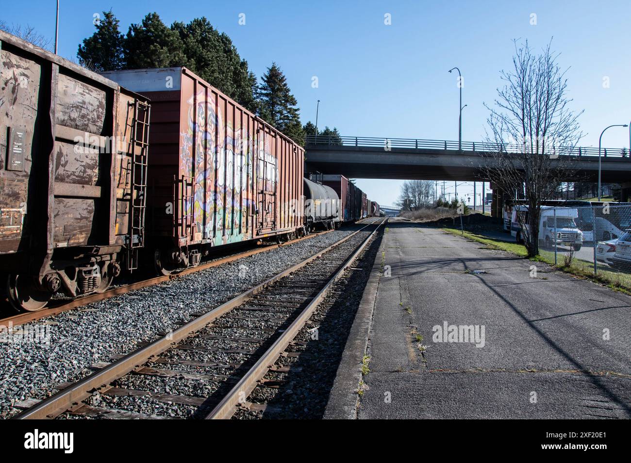 Graffiti tagged on rail cars on Station Street in downtown Saint John ...