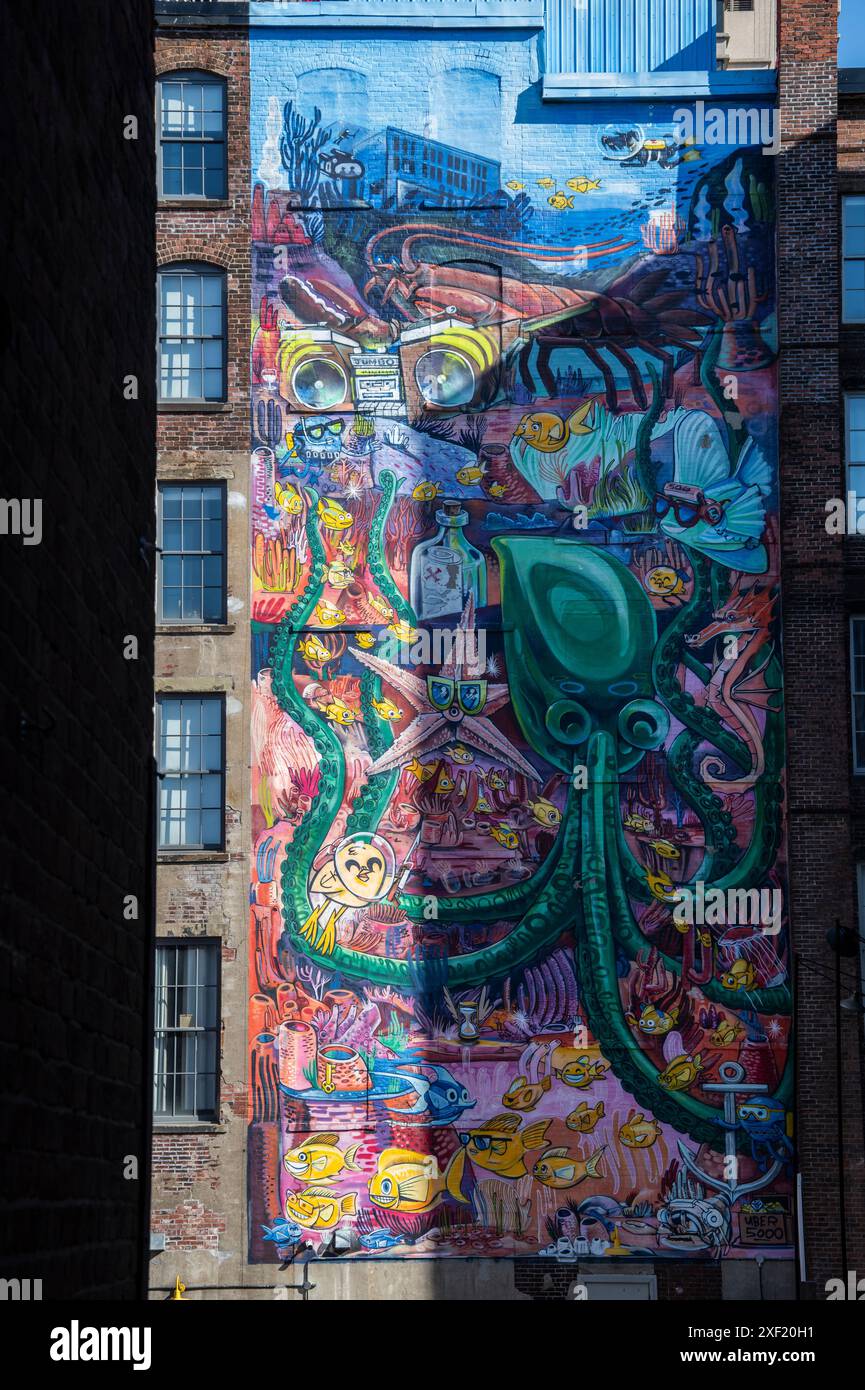 Green octopus mural in an alley in downtown Saint John, New Brunswick ...