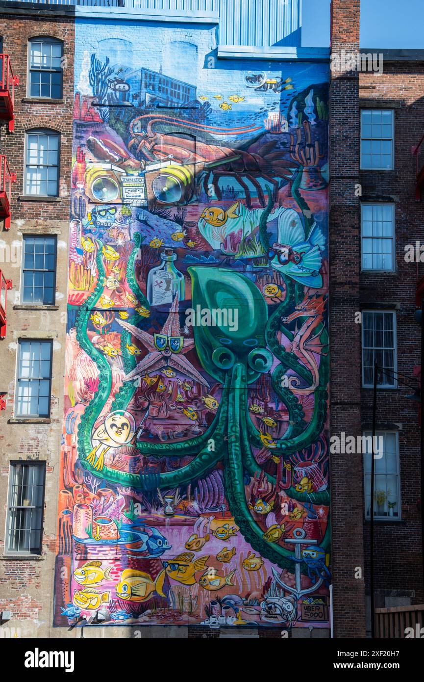 Underwater mural on Grannan Street in downtown Saint John, New ...