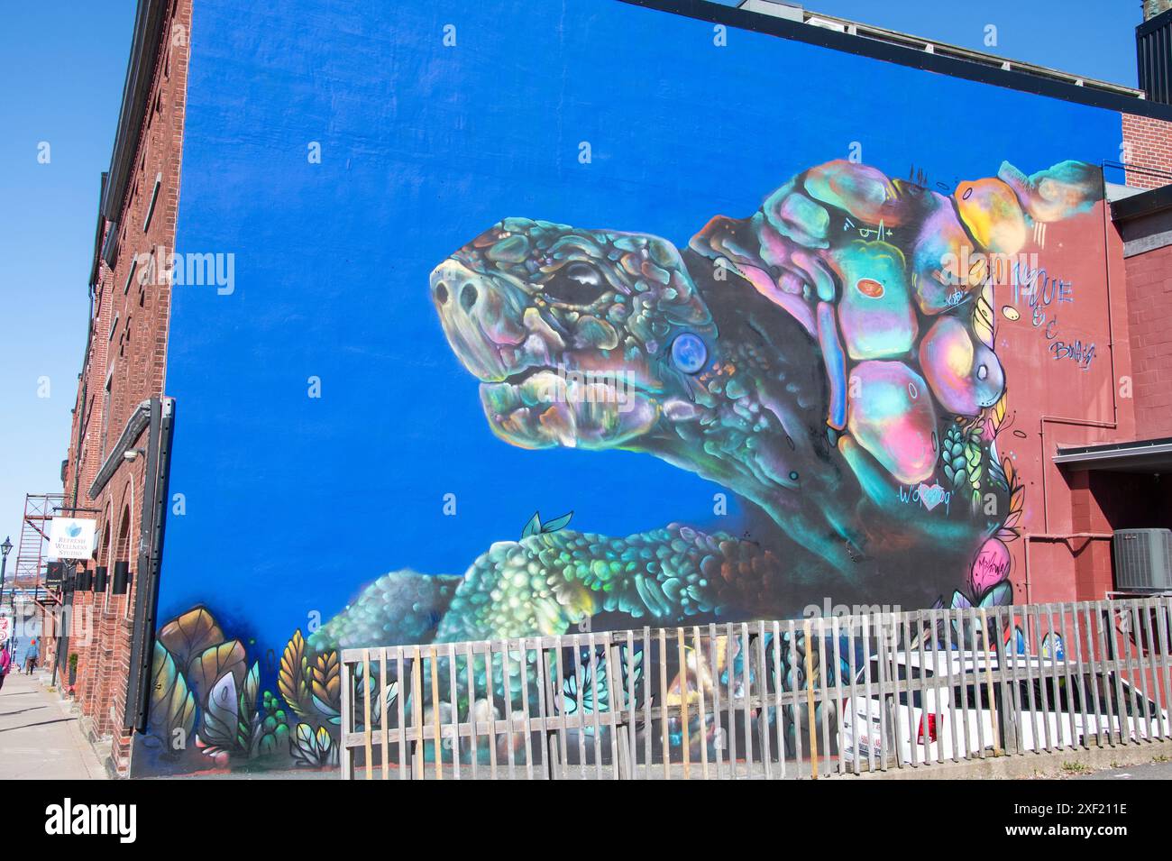 Protect Turtle Island mural on Princess Street in downtown Saint John ...