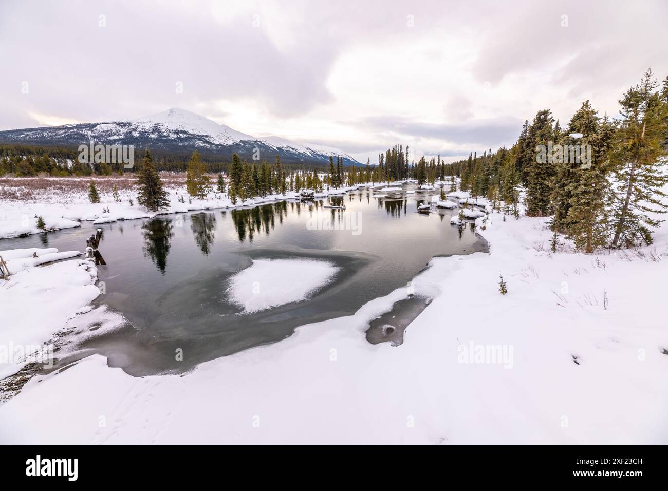 A winter wonderland seen in northern Canada, Yukon Territory during ...