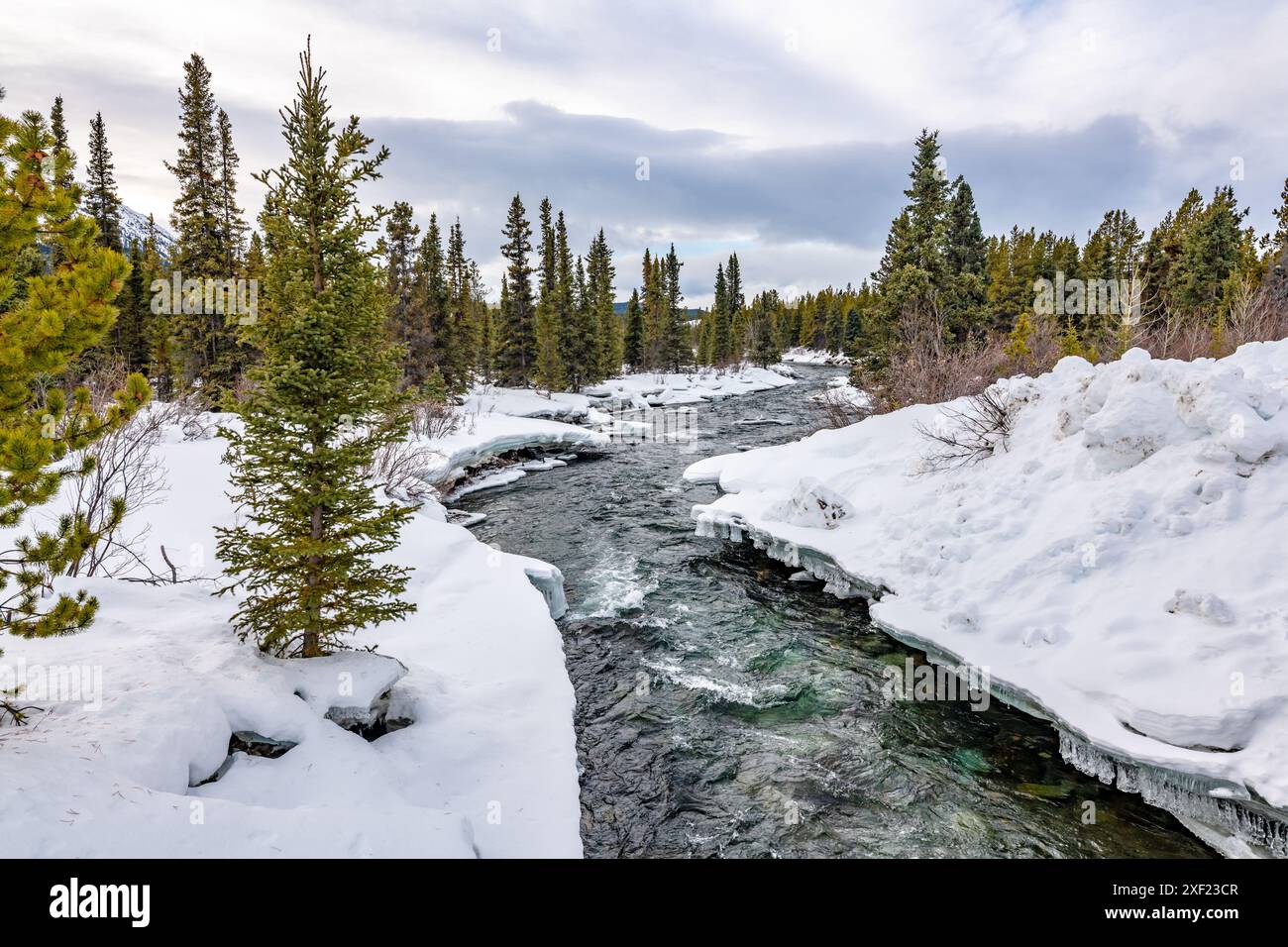 A winter wonderland seen in northern Canada, Yukon Territory during ...