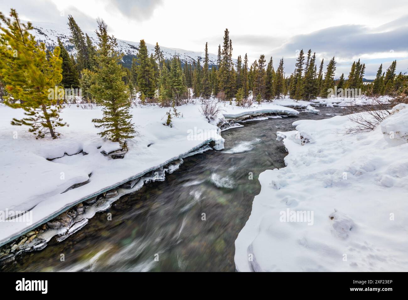 A winter wonderland seen in northern Canada, Yukon Territory during ...
