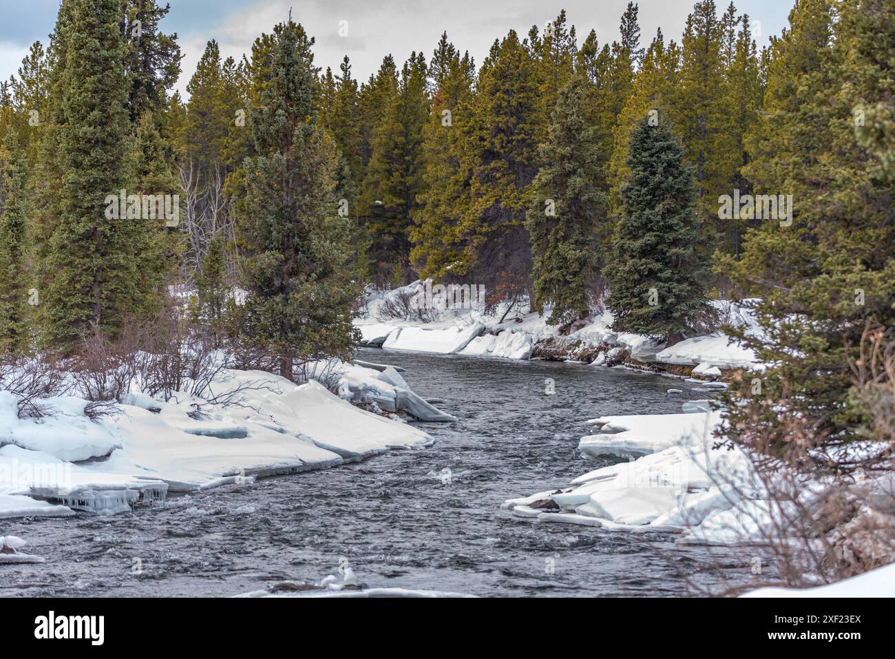 A winter wonderland seen in northern Canada, Yukon Territory during ...