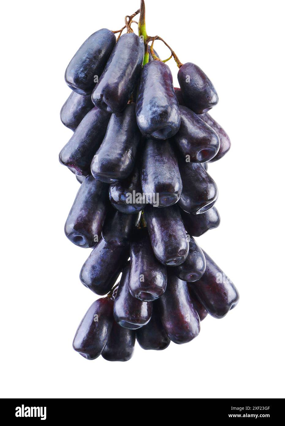 Black grape isolated on white background. grape clipping path Stock Photo - Alamy