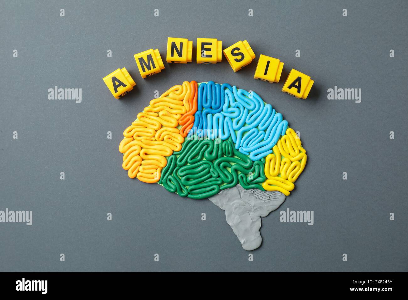 Word Amnesia and brain with sections made of plasticine on grey ...