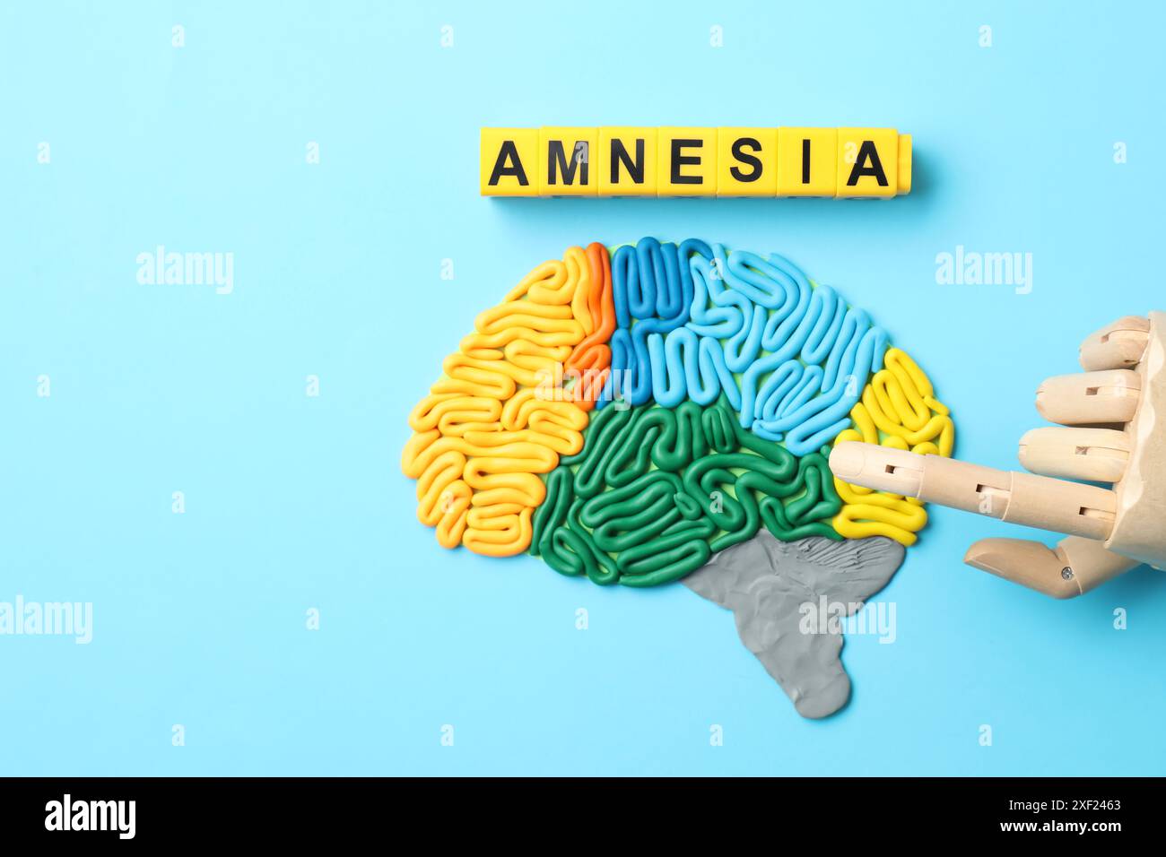 Word Amnesia, brain with sections made of plasticine and mannequin hand ...